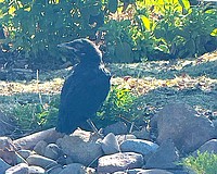 Community | Serving Minden-Gardnerville and Carson Valley