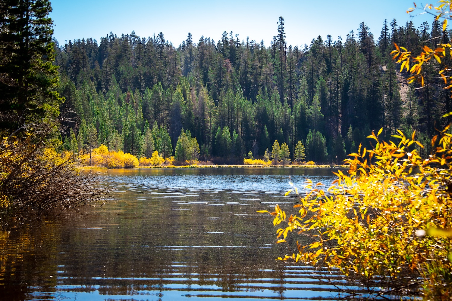 Spooner Lake master plan comment open until July 20 | Carson City’s ...