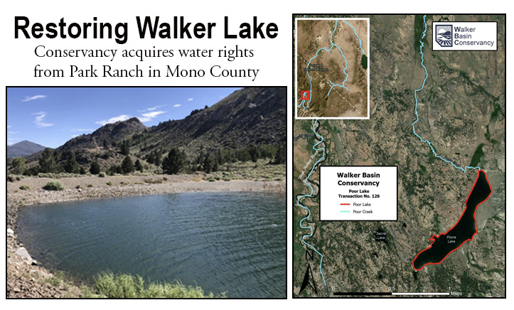 Conservancy acquires first Walker River rights in California | Serving ...