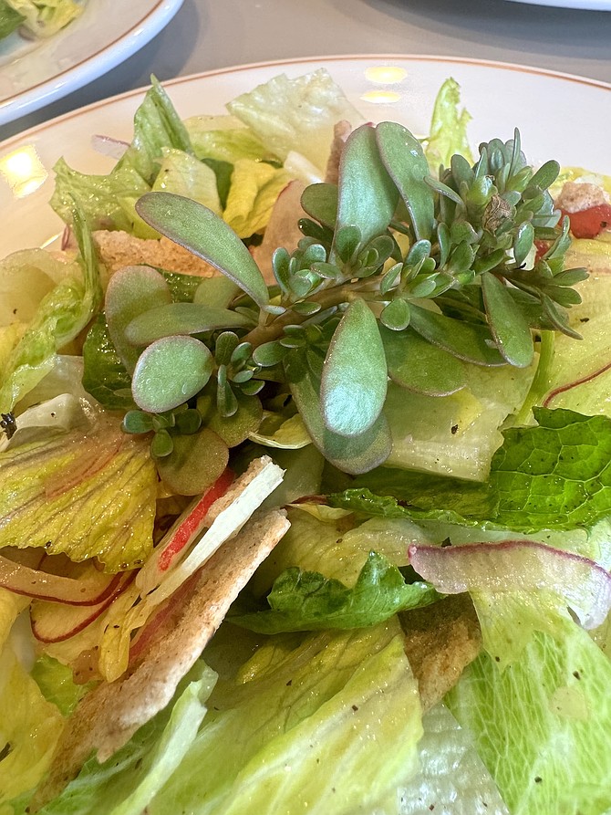 Michelle Peters: Purslane: A so-called ‘weed’ with a nutritious punch ...