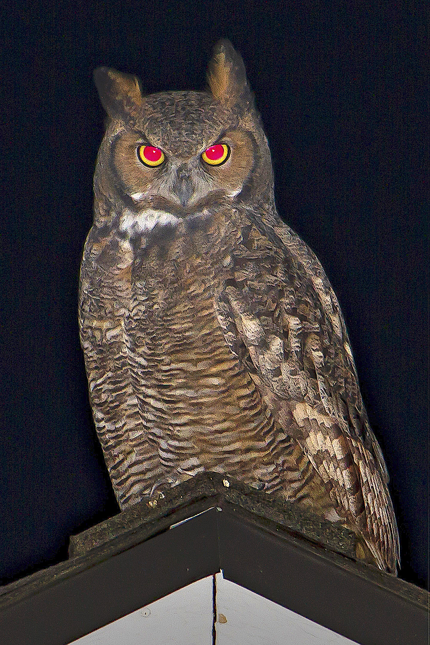 The Sept. 2, 2025, R-C Morning Report | Serving Minden-Gardnerville and ...