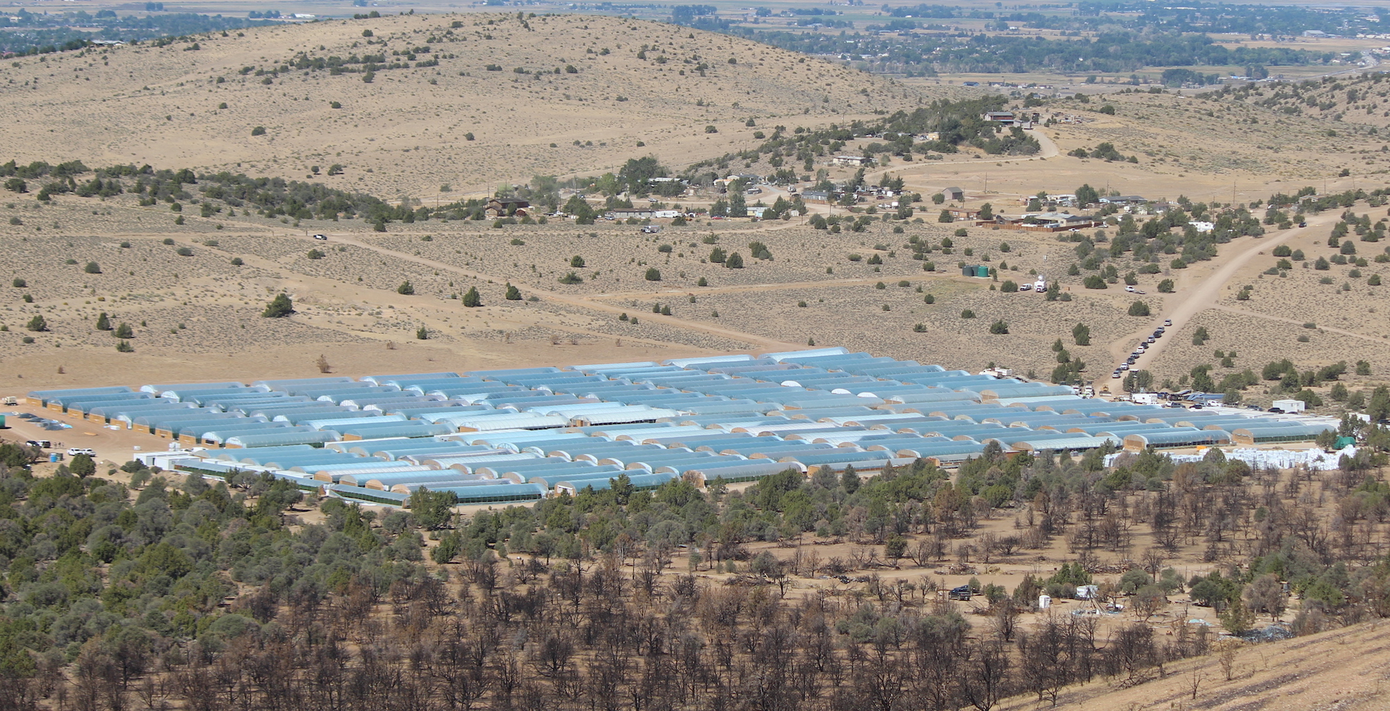 Four years since raid on county's biggest pot grow | Serving Minden ...