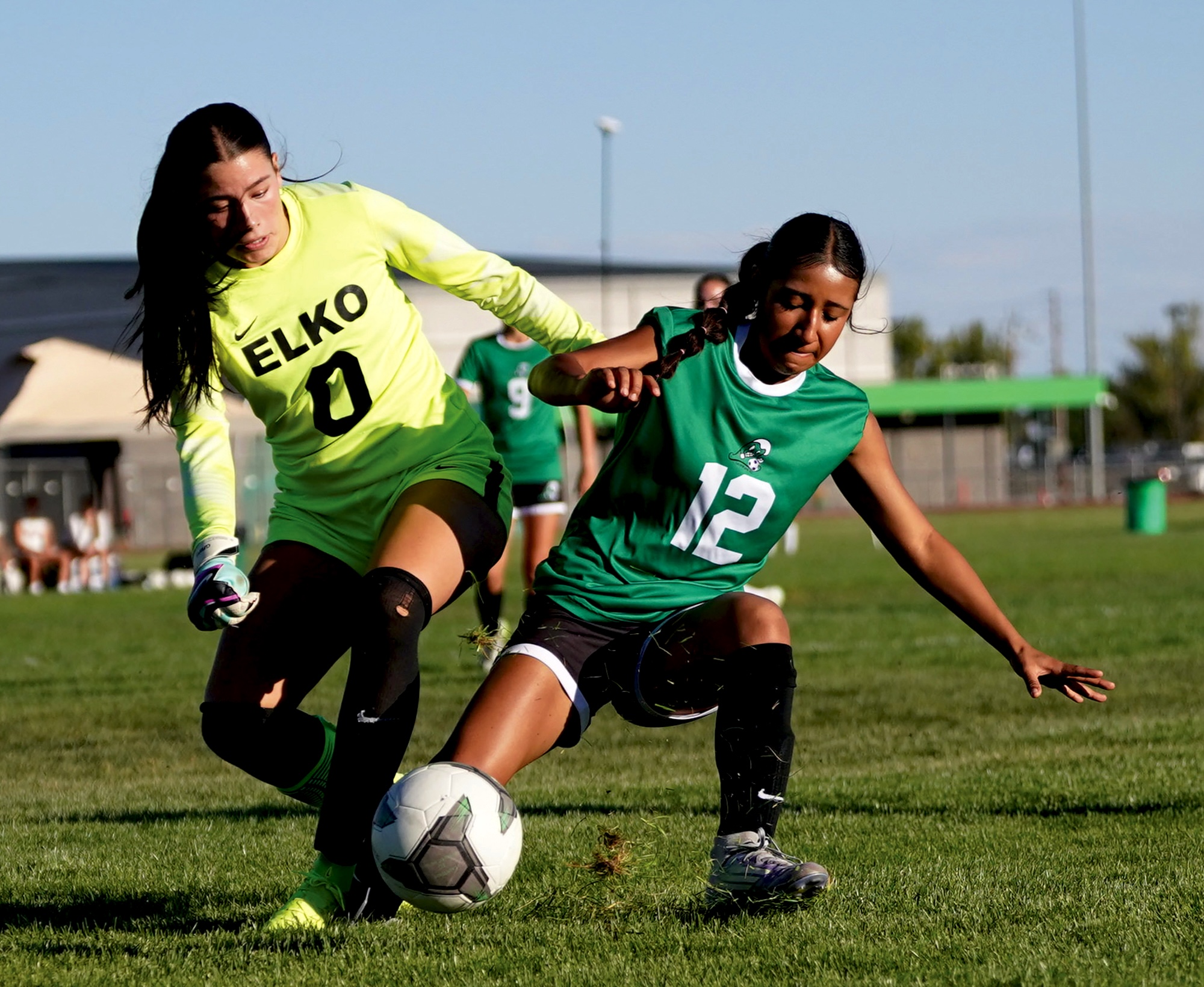 Greenwave roundup: Fallon volleyball takes down Fernley | Carson City’s ...