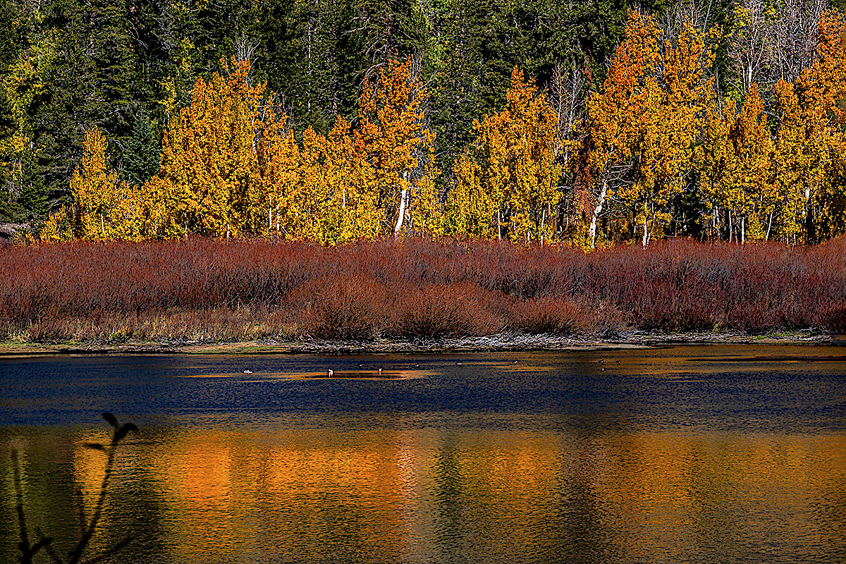Update: Wet weather in the forecast | Serving Minden-Gardnerville and ...