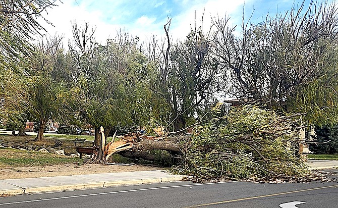 Power back on to most NV Energy customers | Serving Minden-Gardnerville ...