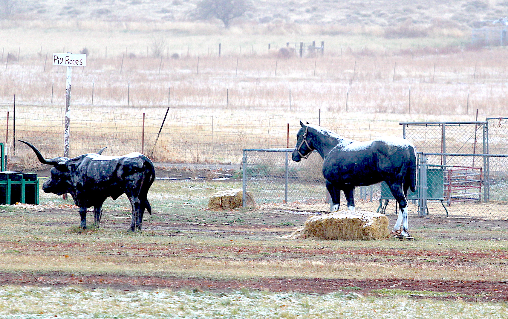 The Nov. 18, 2025, R-C Morning Report | Serving Minden-Gardnerville and ...