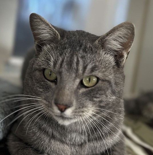 Wrinkles in time going smooth | Carson City’s Trusted News Source Since ...