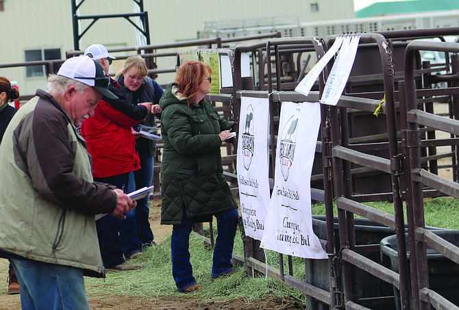 Bullish on Fallon | Carson City’s Trusted News Source Since 1865
