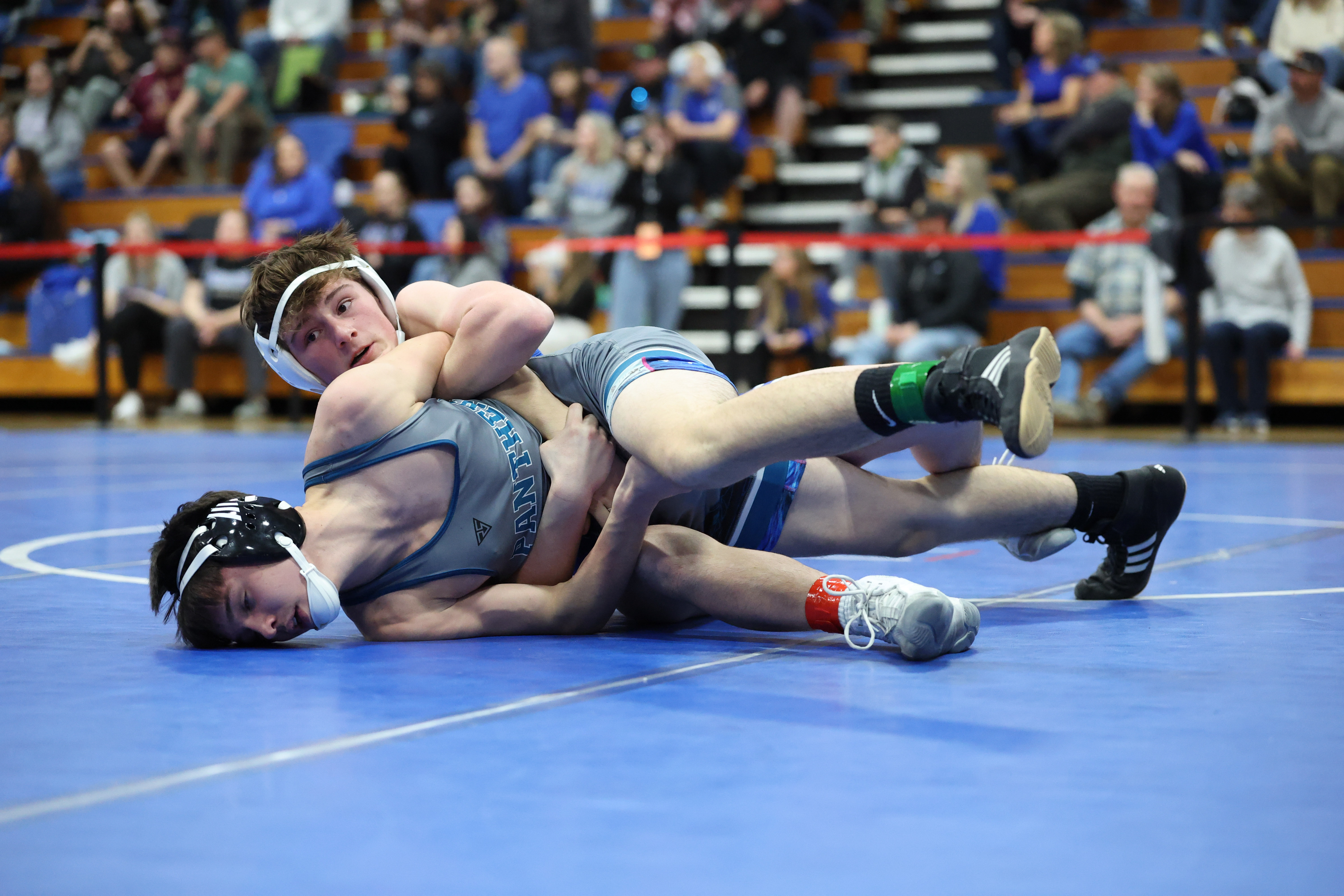 Senator wrestling earns five all-region honorees | Carson City’s ...