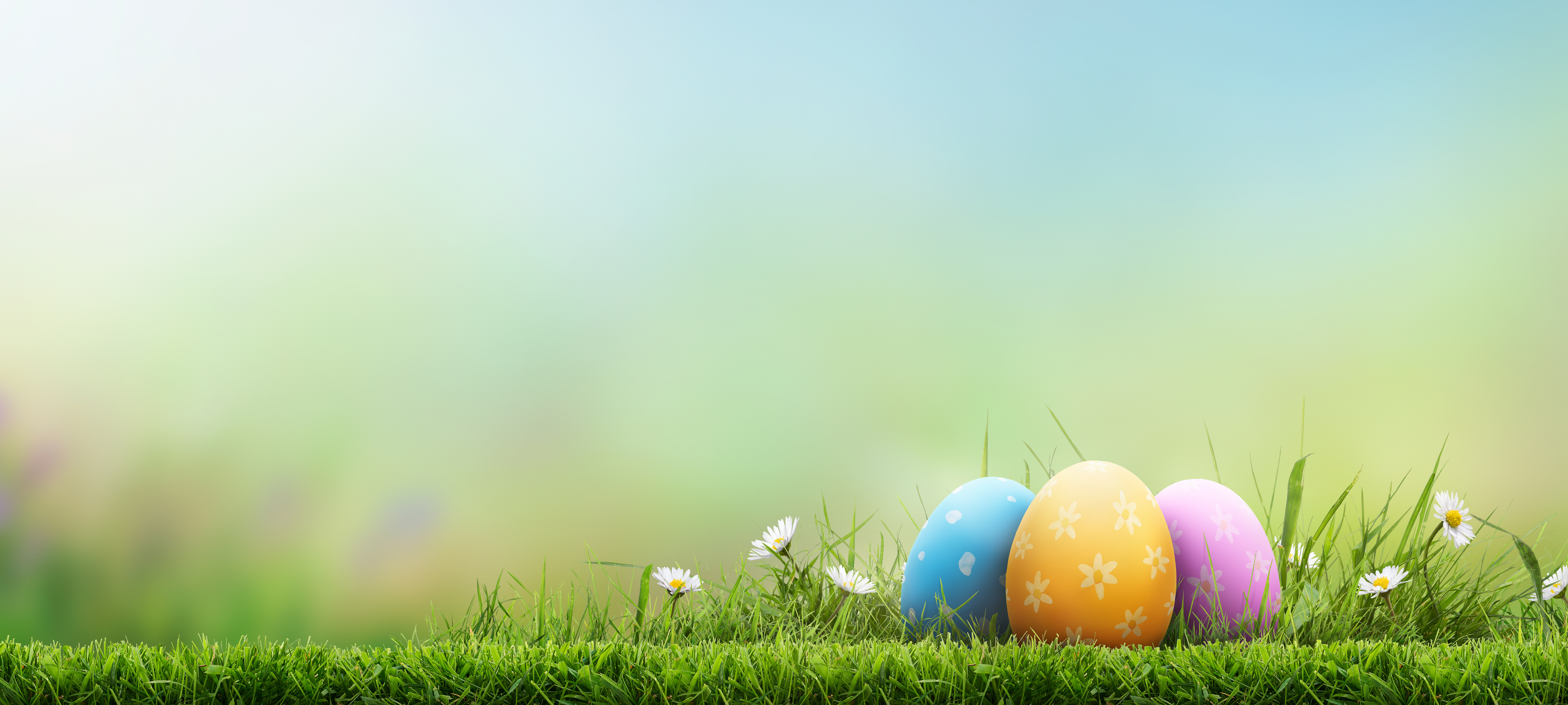 Carson City Easter happenings feature a variety of egg hunts ...