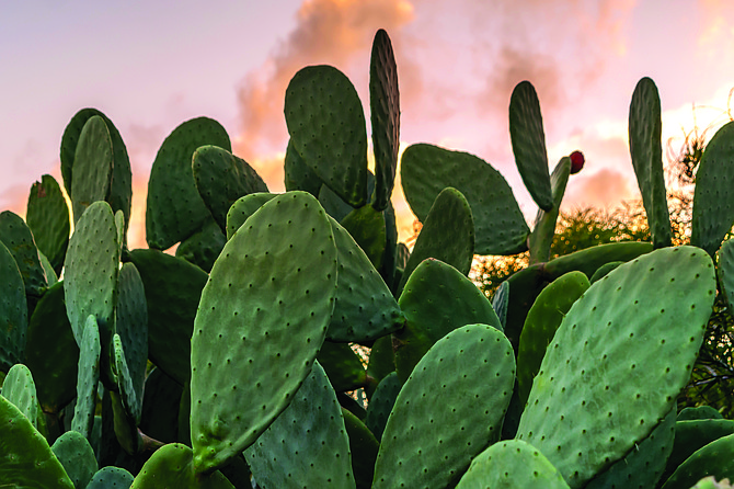 Department of Energy awards $9 million for national research project on ...