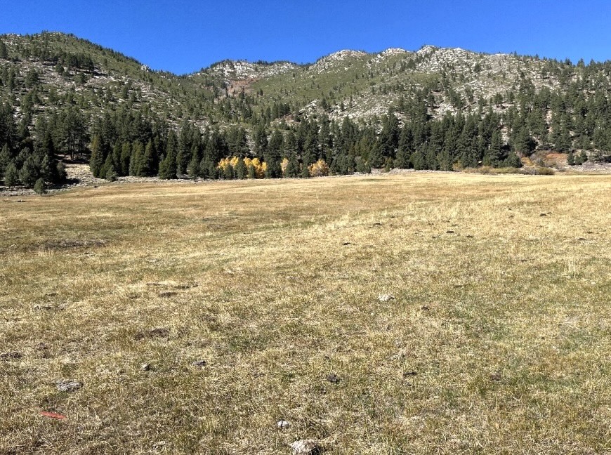 City panel considers buying 81 acres in Ash Canyon | Carson City’s ...