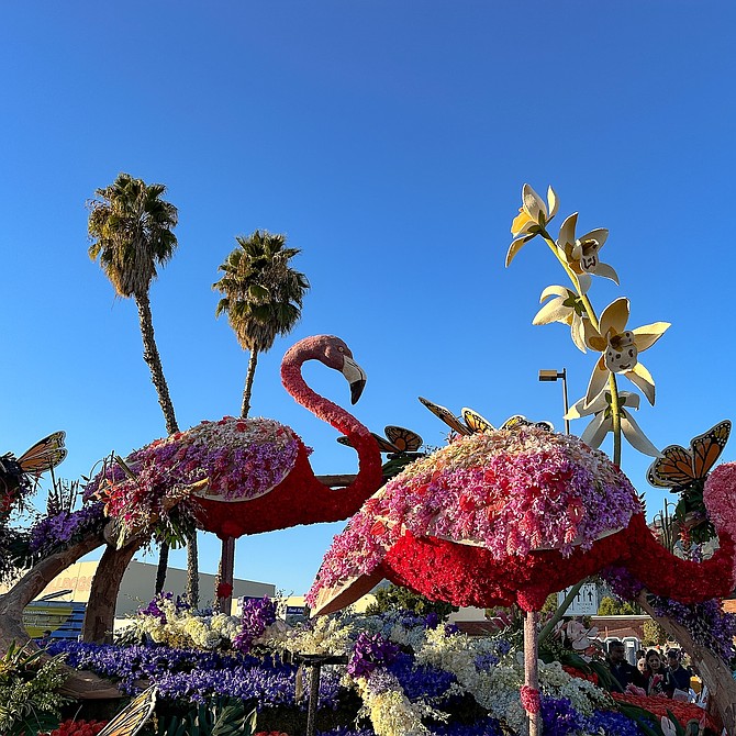 Ronni Hannaman: Make this New Year a celebration to remember | Carson ...