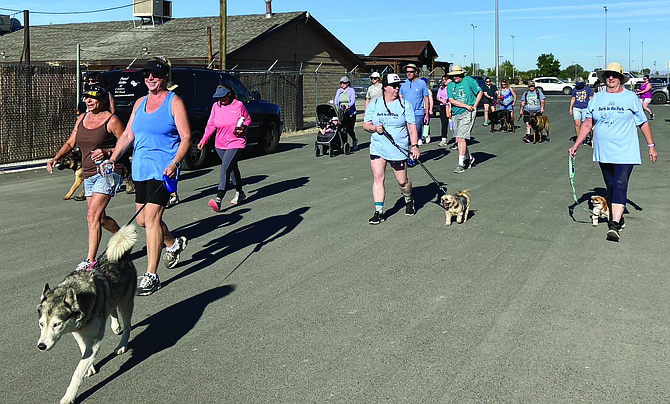 Going to the dogs: CAPS hosts 20th annual ‘Bark in the Park’ | Carson ...