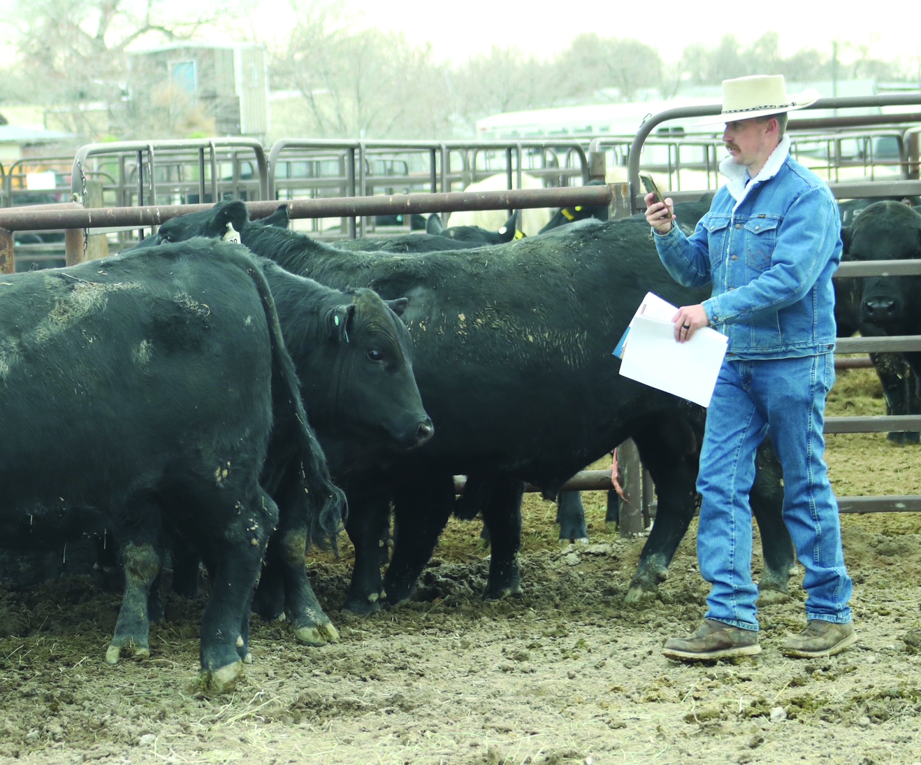 Bullish on Fallon | Carson City’s Trusted News Source Since 1865