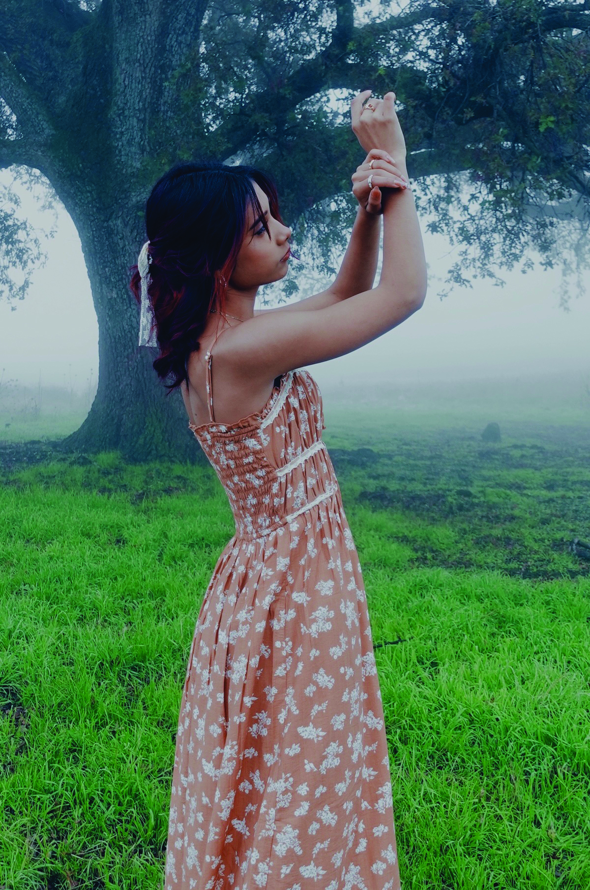 Ranson presents to history classes | Carson City’s Trusted News Source ...