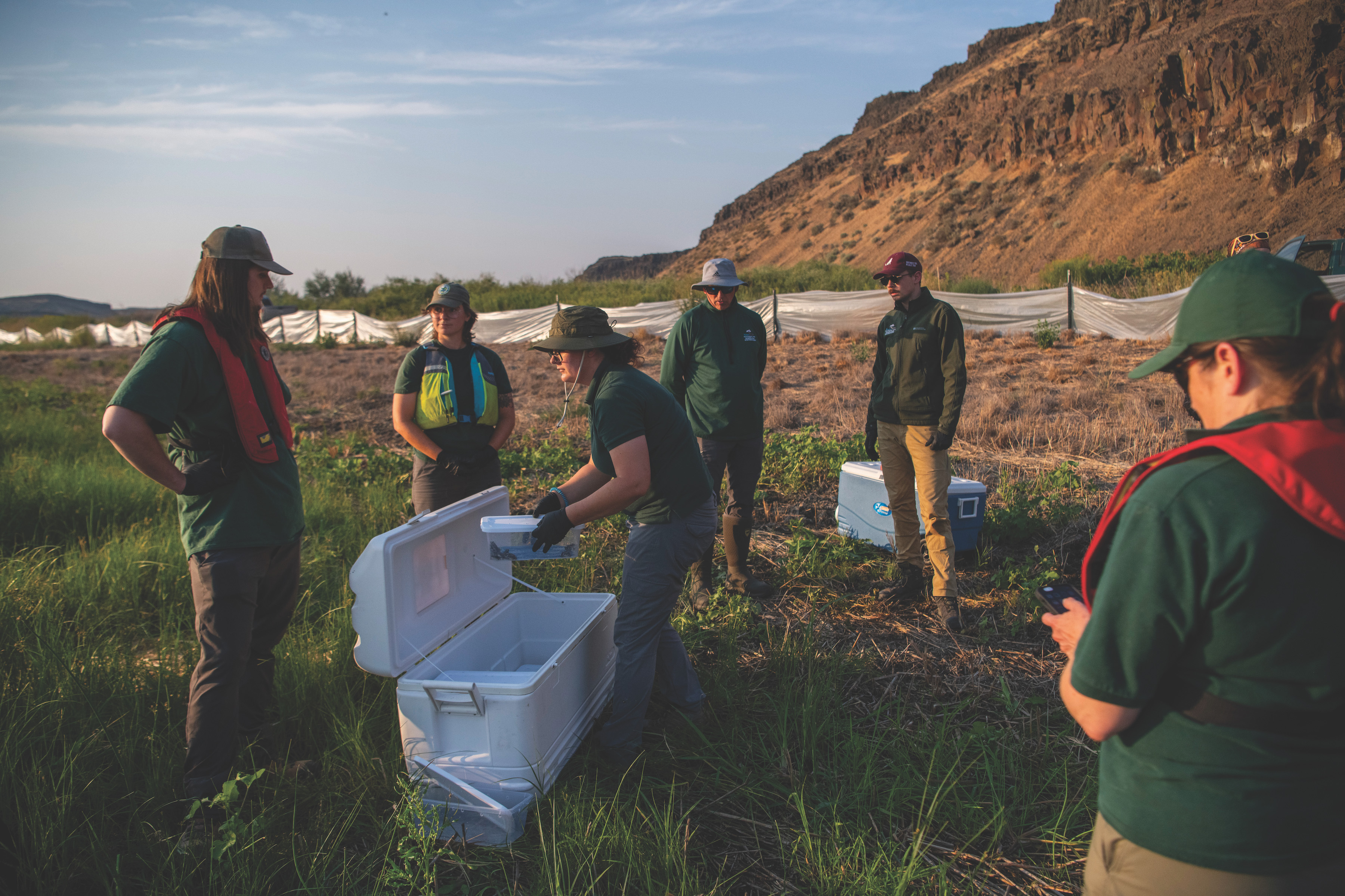 A Leap forward: Endangered frogs hit survival milestone | The ...