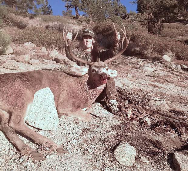 Gutierrez’s top-10s leads Tigersharks at state meet | Serving Minden ...