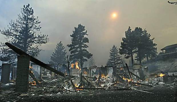 Sheep graze 10 years after Waterfall fire | Serving Northern Nevada
