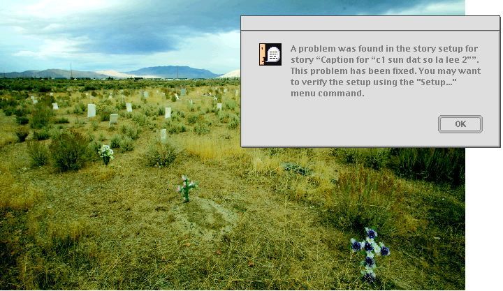 Dat-So-La-Lee: A Washo weaver's woven legacy | Serving Minden ...