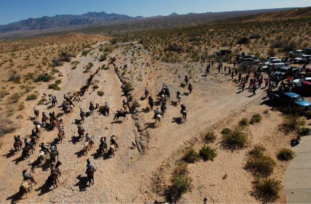 BLM cites concern in ending roundup | Serving Northern Nevada