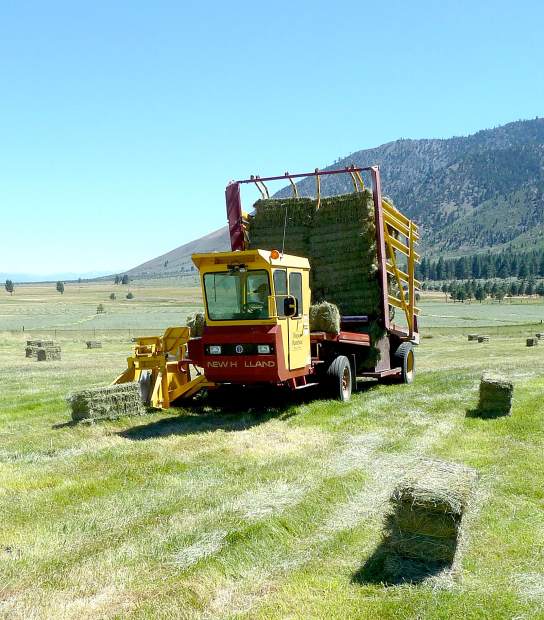 Jacks Valley Ranch up for conservation | Carson City’s Trusted News ...
