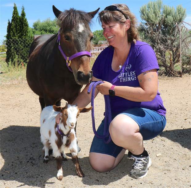 Carson City non-profit focuses on animal rescue and community kindness ...