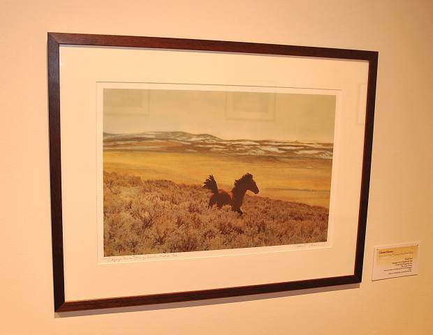 ‘Honest Horses’ exhibit takes peek at mustang culture | Carson City’s ...