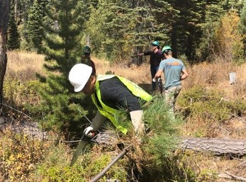 Washoe Tribe receives Meeks Bay concession | Serving Minden ...